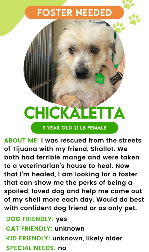 Volunteer Application | The Animal Pad Dog Rescue