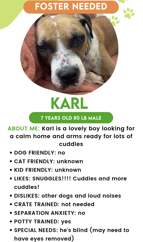 Dog Foster San Diego | The Animal Pad Dog Rescue in California