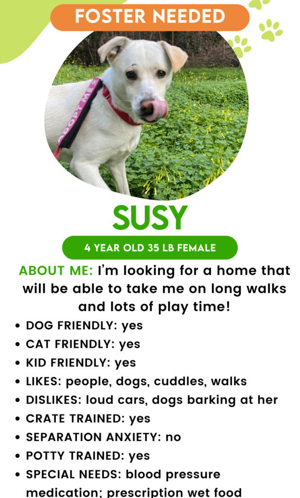 Dog Foster San Diego | The Animal Pad Dog Rescue in California