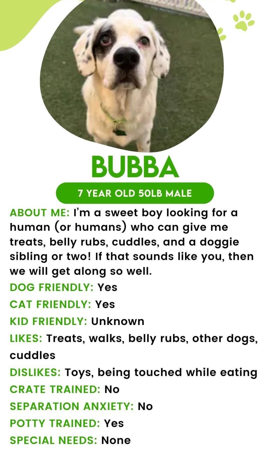 Dog Adoption Application | The Animal Pad Dog Rescue